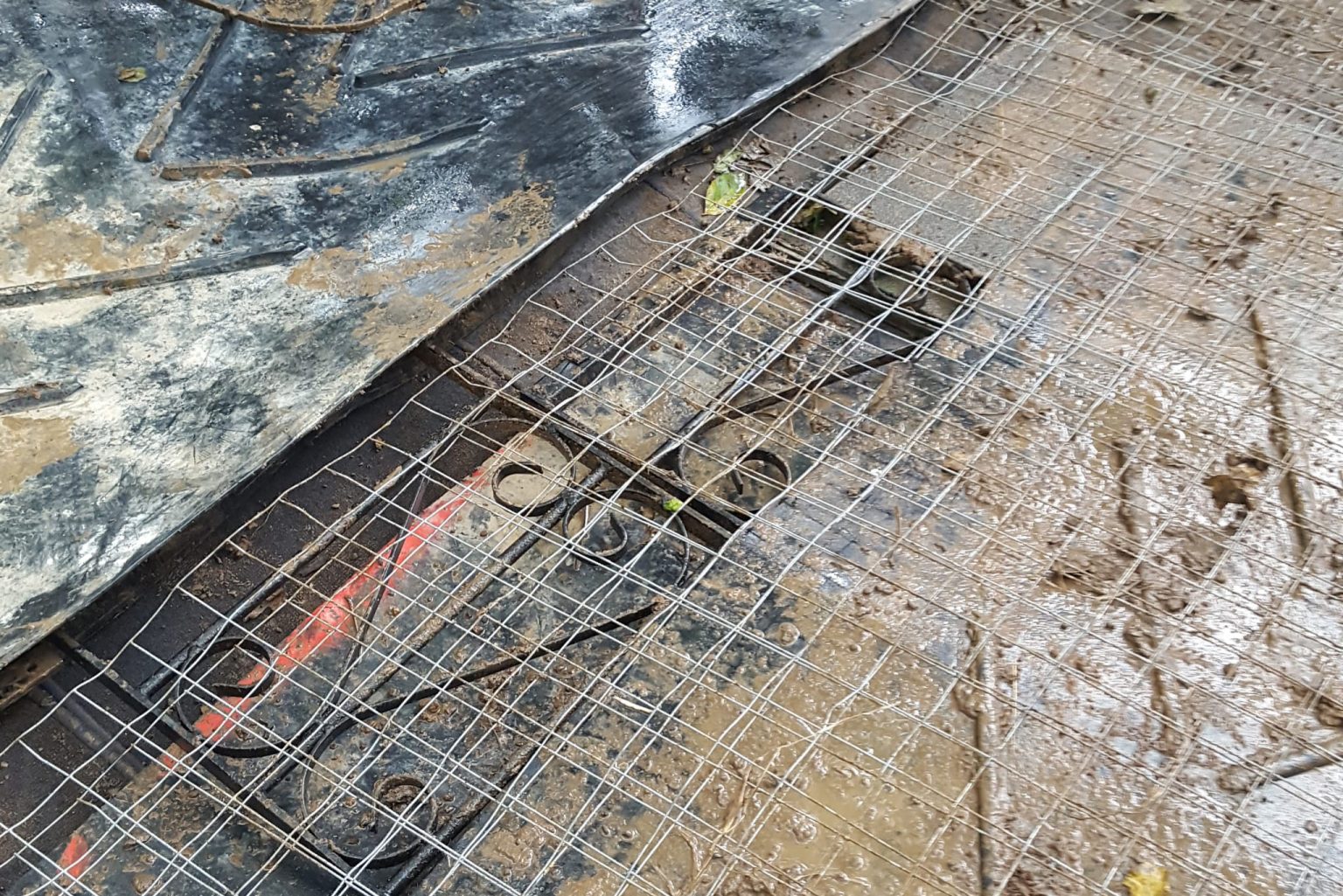 Fortifying setts against badger baiters - Freedom News